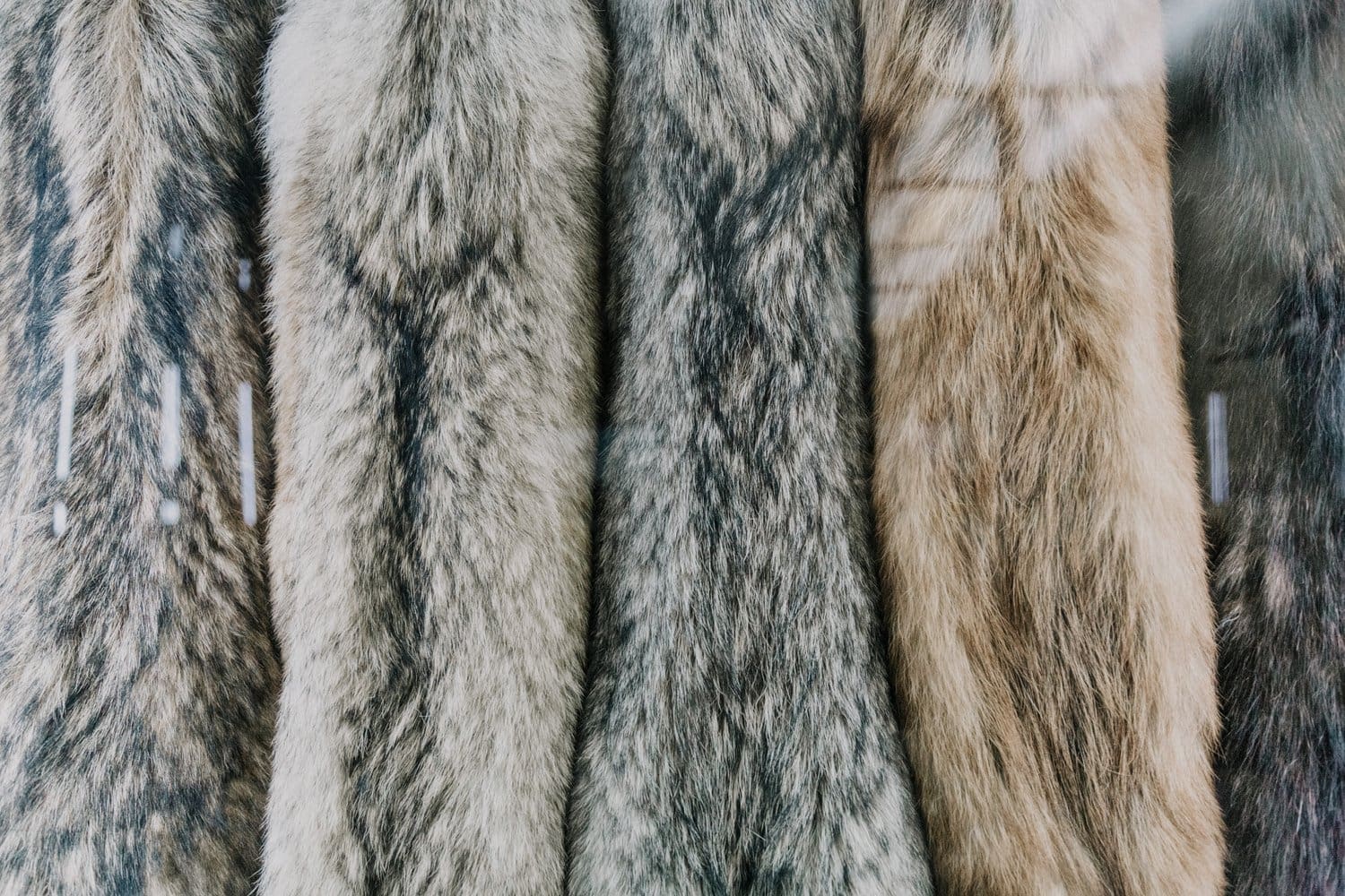 Fur Care & Storage - All Seasons Garment Care | Minneapolis Dry ...